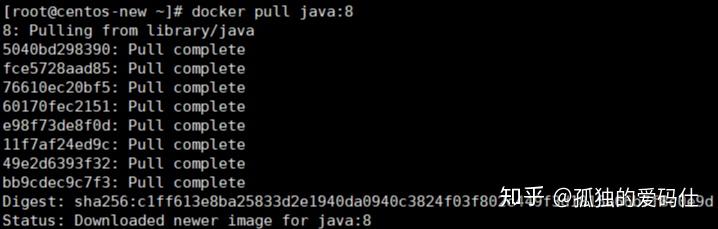 十分钟学会用docker部署微服务 - 知乎