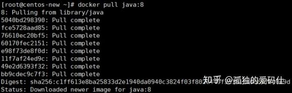 十分钟学会用docker部署微服务 - 知乎