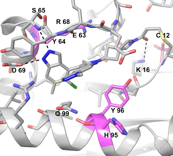 诺华KRAS分子JDQ443 - 知乎