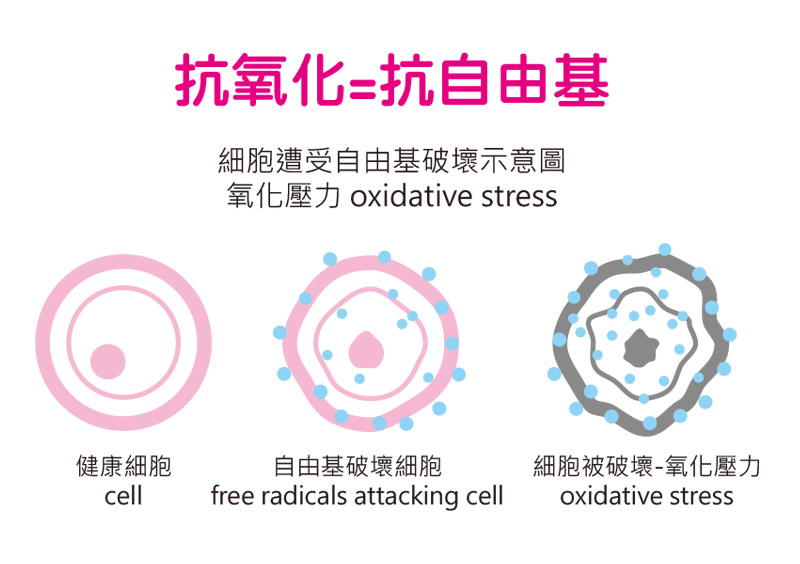 虾青素:清除自由基,实现抗氧化,直达抗衰老 知乎