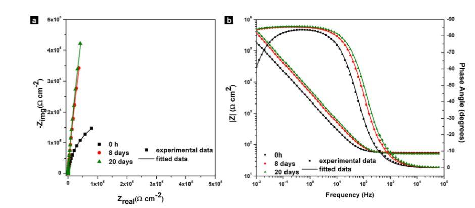 如何解析电化学阻抗EIS图谱？（Nyquist图谱+bode图谱） - 知乎