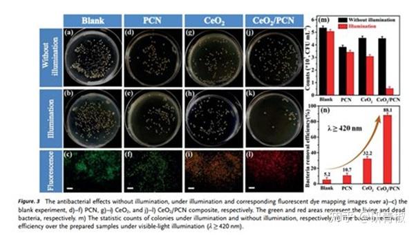 【光催化】武汉理工&武大余家国Angew：基于C3N4的0D/2D S-Scheme异质结还可杀菌 - 知乎