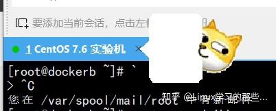 当你的Linux出现 "您在 /var/spool/mail/root 中有新邮件" - 知乎