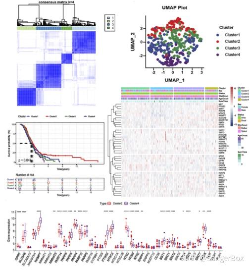 【最新套路视频】IF6+，循环 NAD+ 代谢衍生基因揭示肌萎缩侧索硬化症的预后和外周免疫浸润 - 知乎