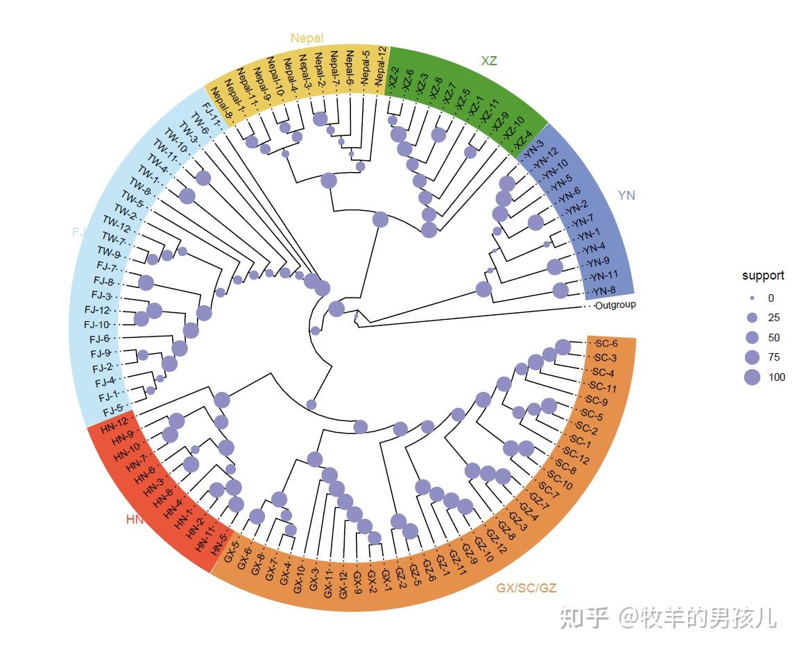 跟着Nature Plants学作图：R语言ggtree包展示进化树 - 知乎
