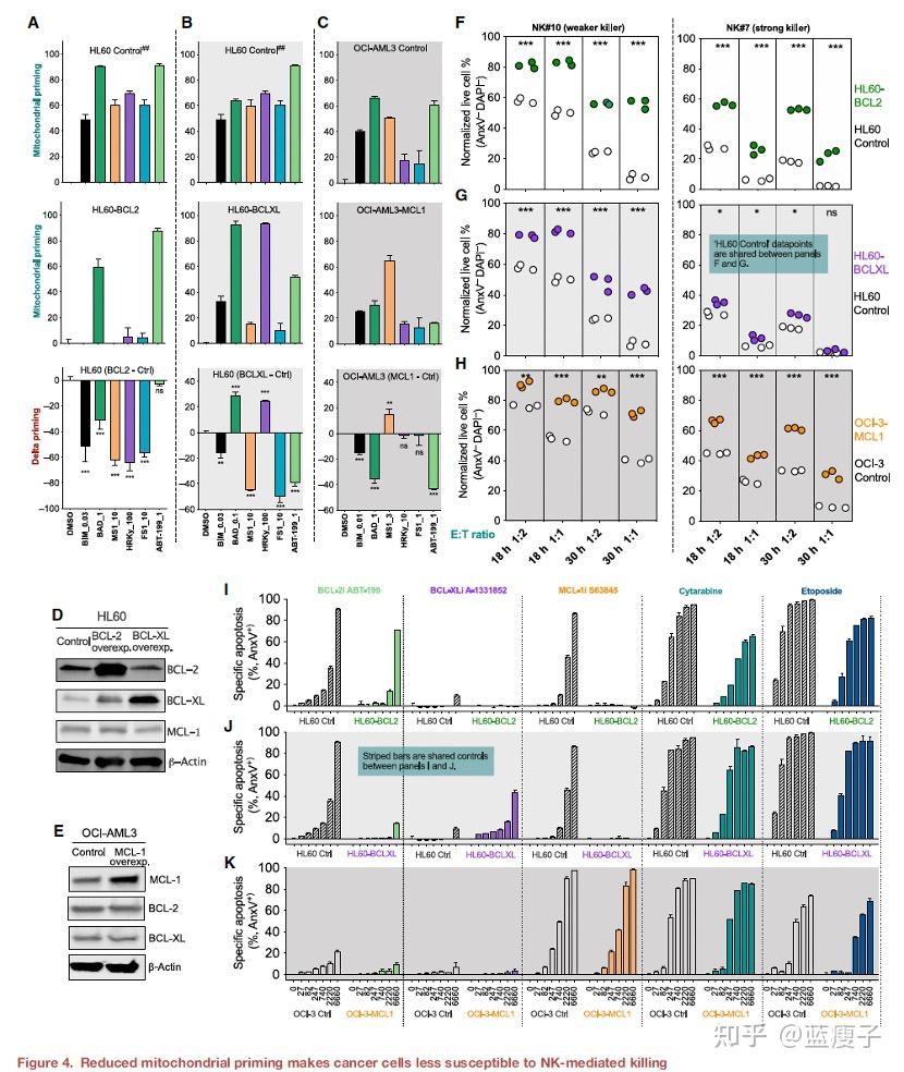 Cell | 激活癌细胞线粒体凋亡以协同增强NK细胞对其的杀伤作用 - 知乎