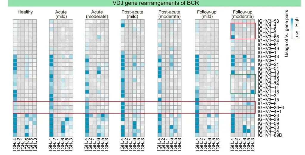 TCR/BCR-seq：免疫组库测序，解锁免疫密码，赋能精准医疗 - 知乎