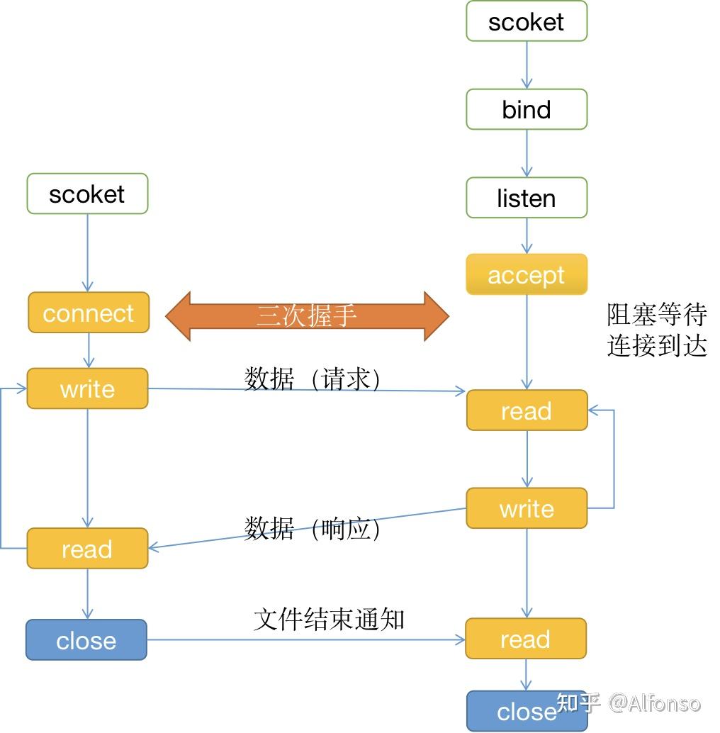 Tcp协议与套接字编程 Socket 详解 知乎 