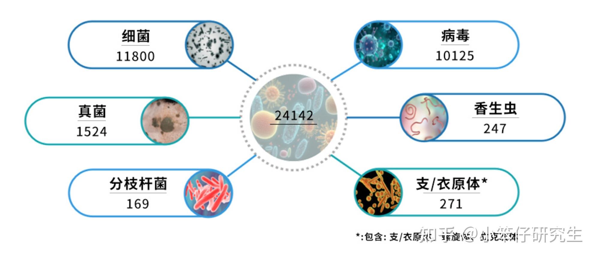 宏基因组（mNGS）检测 - 知乎