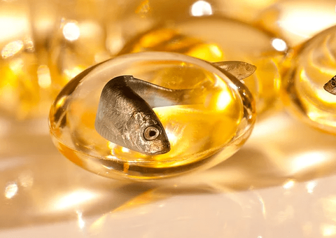 鱼油权威认证机构大全（2）：国际Omega-3浓缩鱼油组织(GOED) - 知乎