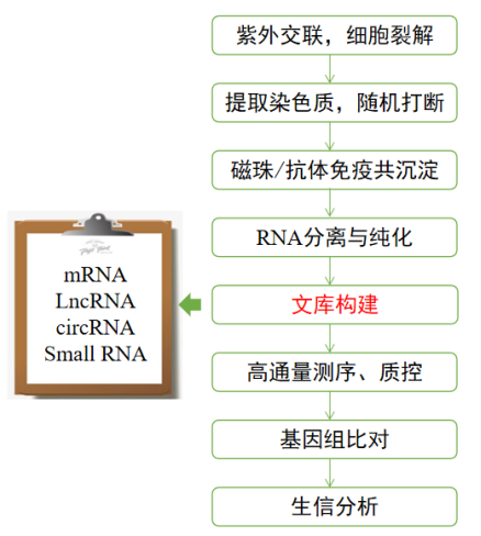 RNA结合蛋白研究技术：RIP-seq实验分析流程及案例分享 - 知乎