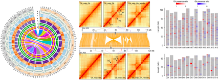 泛基因组(Pan-genome)研究思路与应用—作物篇 - 知乎