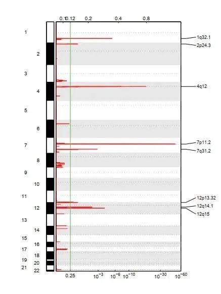DNA 7. 基因组拷贝数变异分析及可视化 (GISTIC2.0) - 知乎