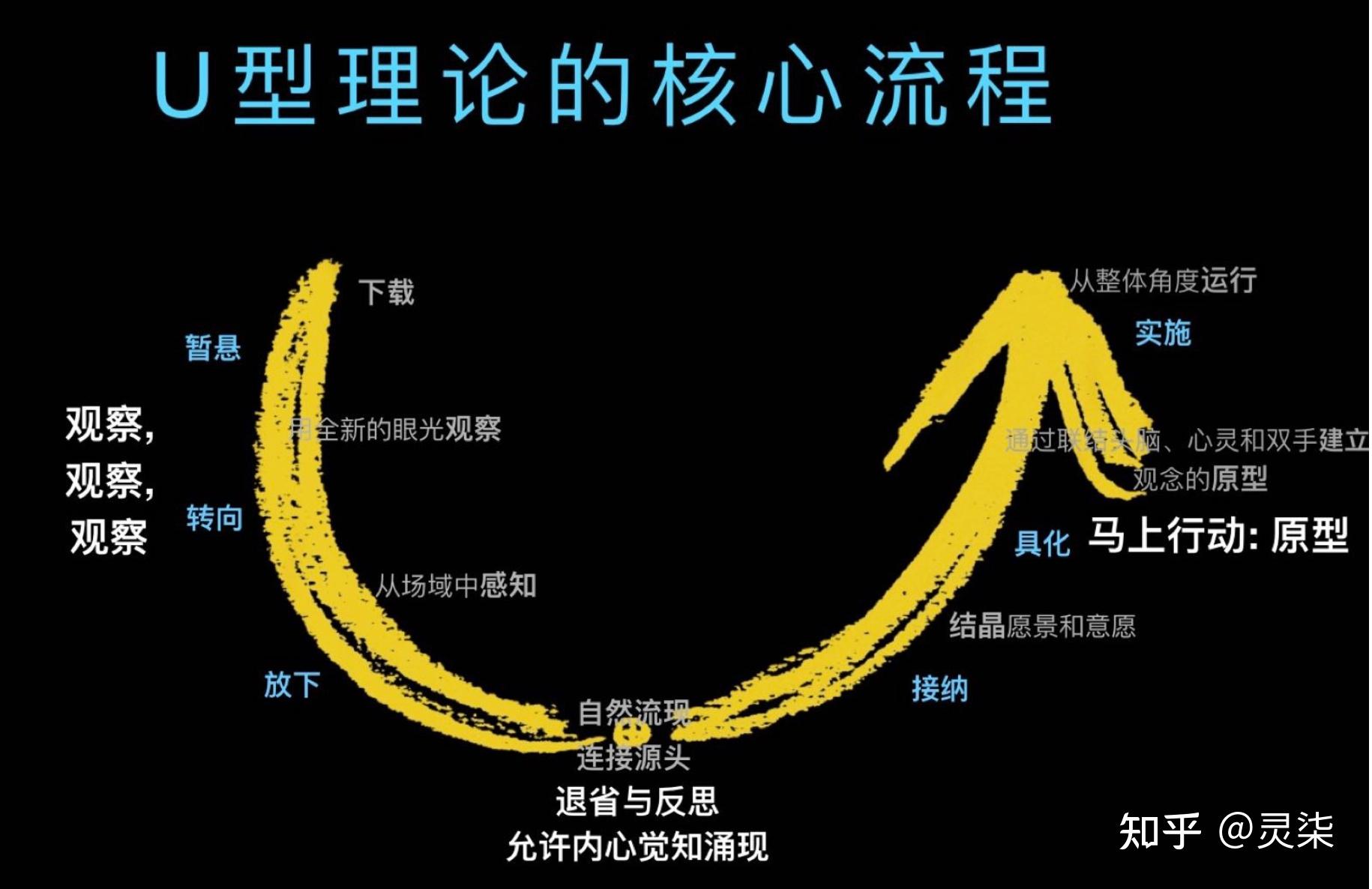 U型理论模型：感知正在生成的未来 - 知乎