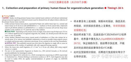 肿瘤类器官如何培养？Hans Clevers大佬在Nature Protocols分享详细方法！ - 知乎