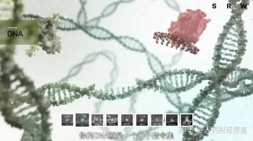 21世纪是细胞治疗的时代，SRW从微观世界看细胞衰老的秘密 - 知乎