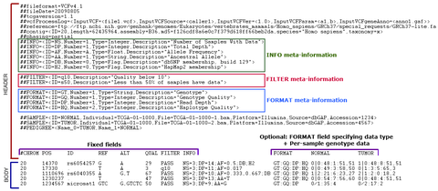 生信log36|如何处理超大的文件：以处理VCF文件为例附python解决方法和策略 - 知乎