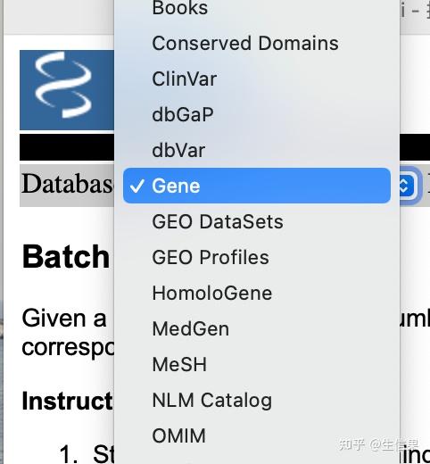 简单高效利用Batch Entrez批量获取基因别名 - 知乎