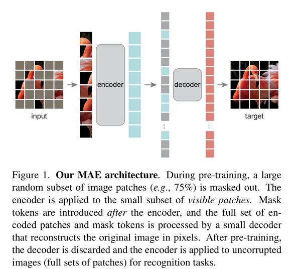 [cv Backbone] Swin Transformer模型 知乎