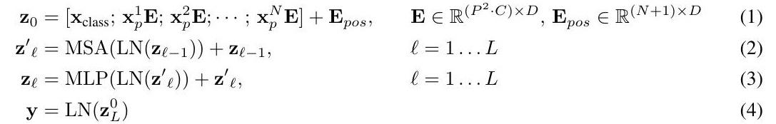 ViT: transformer用于图像识别 - 知乎