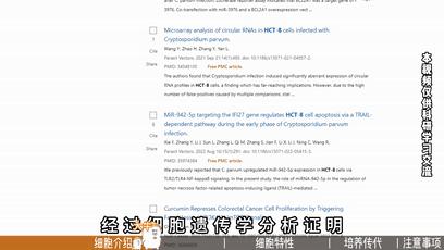 HCT-8细胞培养，人结直肠腺癌细胞培养攻略 - 丰晖生物 - 知乎