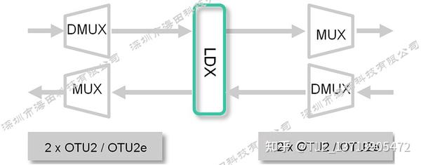 TNF1LDX_TNF2LDX 2路10Gbit/s波长转换板 - 知乎