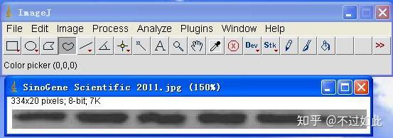 如何用ImageJ进行WB定量？ - 知乎