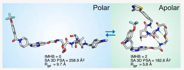 PROTAC成药性研究：溶解度和渗透性研究策略解析 - 知乎
