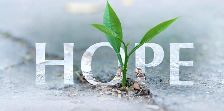 首期中文SHRM-SCP认证之感言4：Sherry当我遇见了我们，遇见不一样的风景…… - 知乎