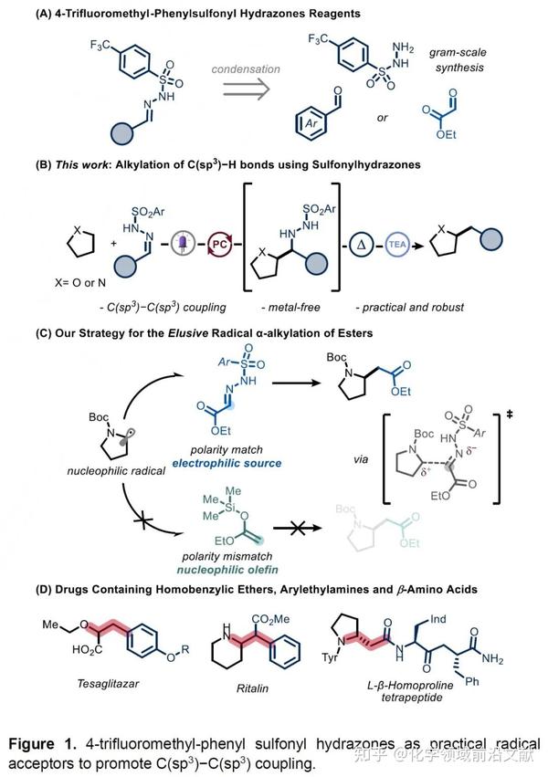 Angew：光催化磺酰腙参与的C(sp3)−H烷基化反应 - 知乎