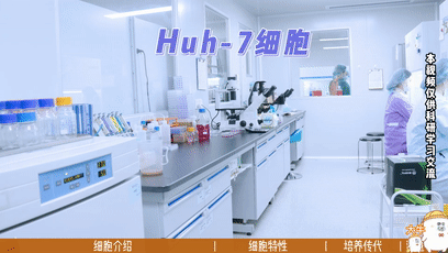 Huh-7细胞培养，人肝癌细胞培养攻略 - 丰晖生物 - 知乎