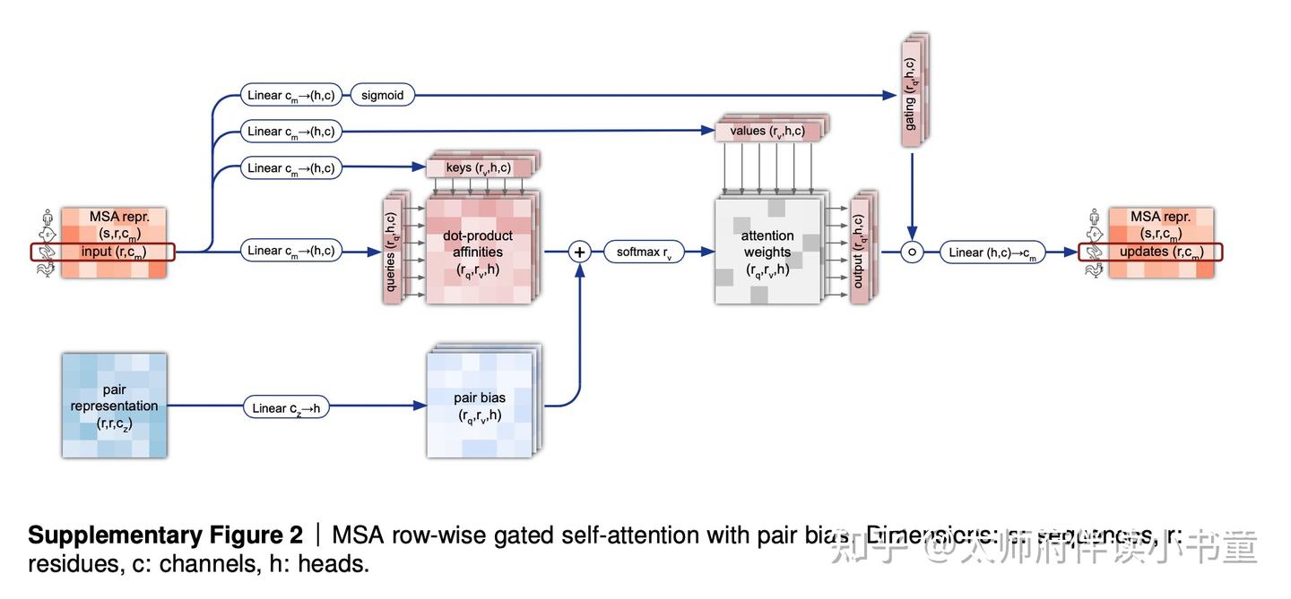 GoDeep系列（十）：AlphaFold 2模型结构拆解（框架） - 知乎