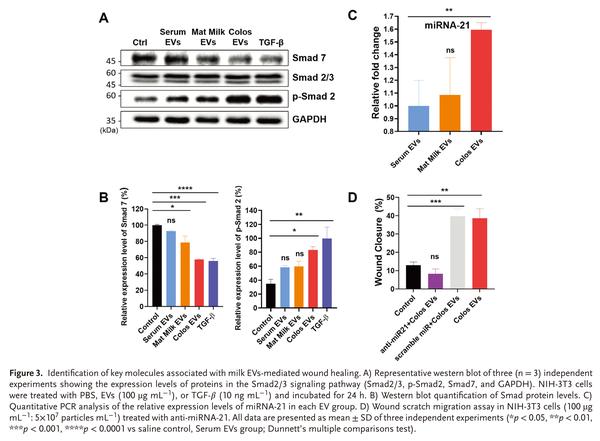 RayBio助力科研机构开发促皮肤伤口愈合新材料|Advanced Healthcare Materials（IF:11.092） - 知乎