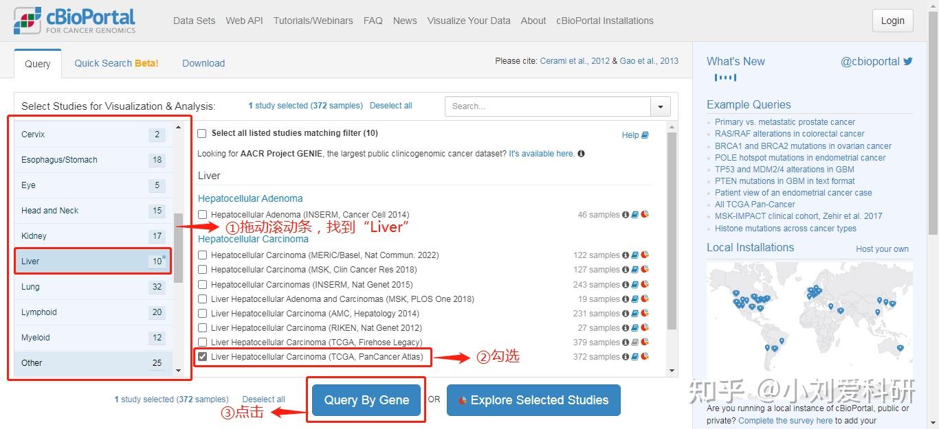 cBioPortal数据库——零代码进行突变分析与可视化 - 知乎