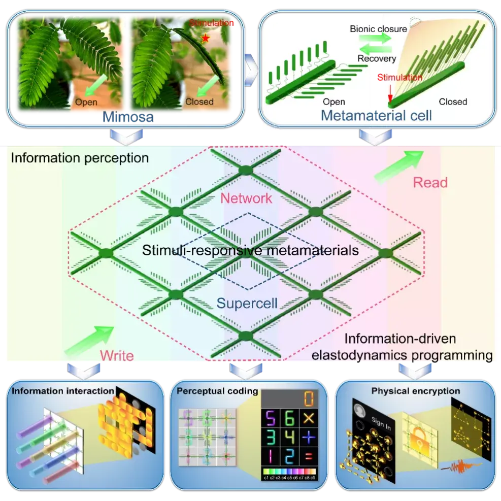 上海交大团队研发“人造含羞草模型”，提出全新机械式读写操作方式，有望将智能设备从复杂硬件系统中解放出来 - 知乎