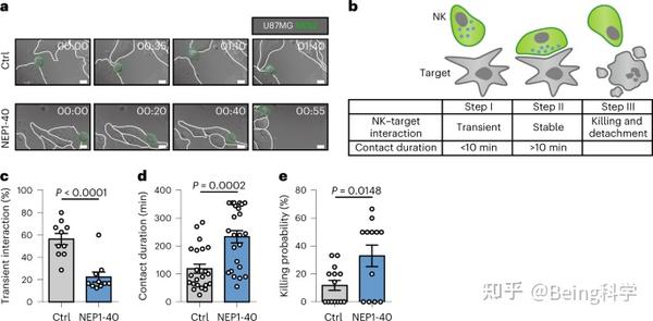 发现 | 新型NK细胞抑制受体NgR1，可破坏免疫突触稳定性！ - 知乎