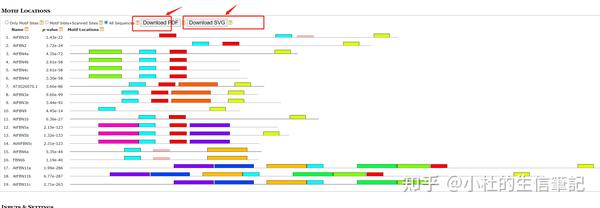 基于TBtools做基因家族分析教程 （全） - 知乎