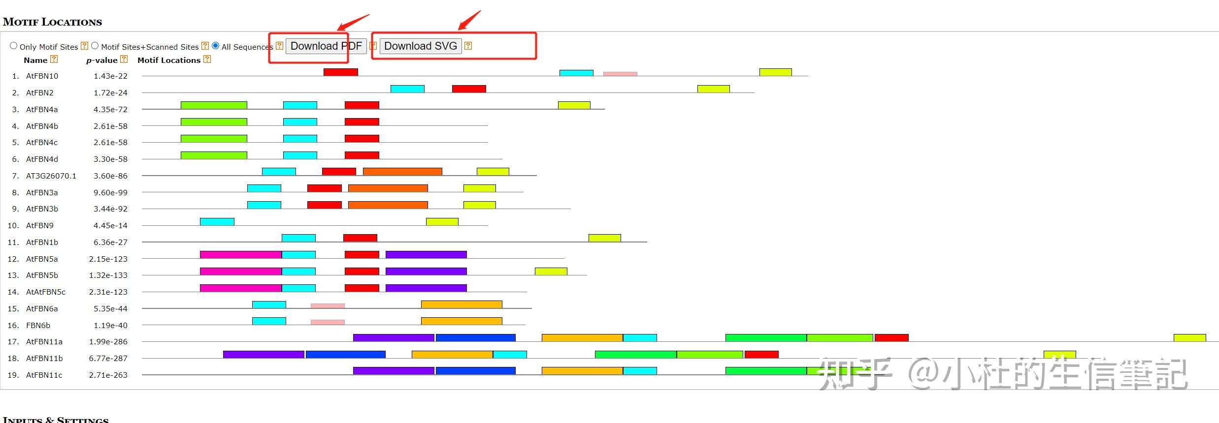 基于TBtools做基因家族分析教程 （全） - 知乎