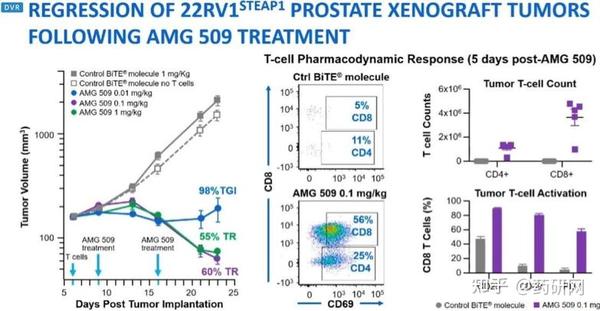 前列腺癌新靶点：STEAP1 - 知乎