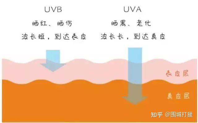 防晒霜怎么选？这一篇就够了！ - 知乎