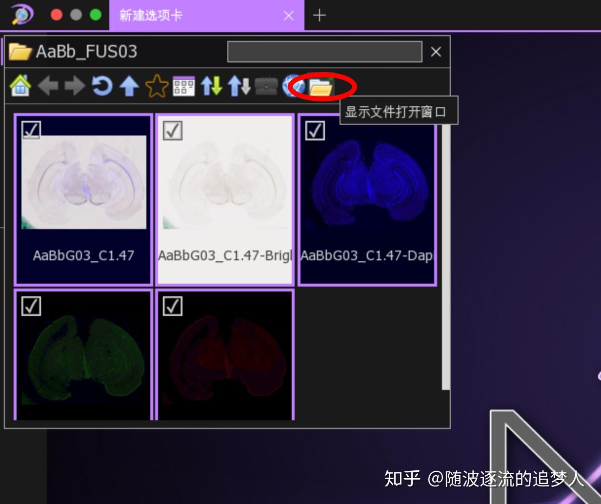 如何从NDP.View 导出图像 - 知乎