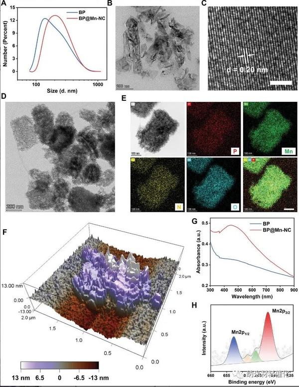【Adv.Sci】黑磷/MnO2纳米复合材料破坏细菌耐热性，实现高效的温和温度光热疗法 - 知乎