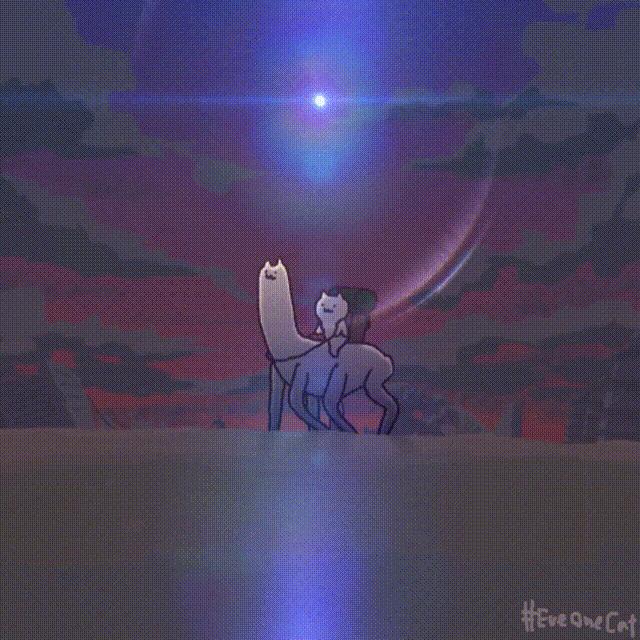 魔性猫猫everyday one cat 表情包 - 知乎