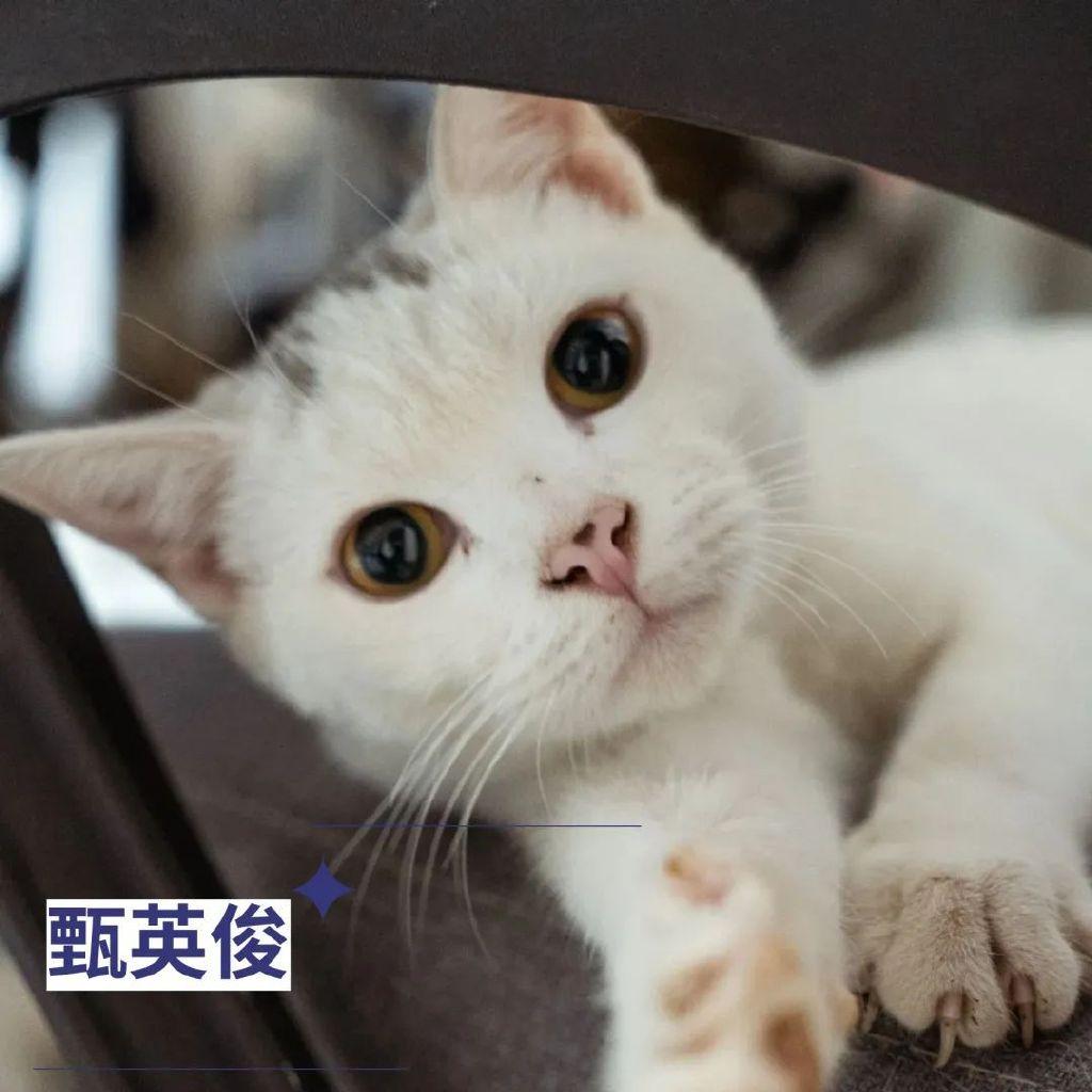 毛孩子离中年油腻仅一线之隔的——拆“弹”套餐 - 知乎