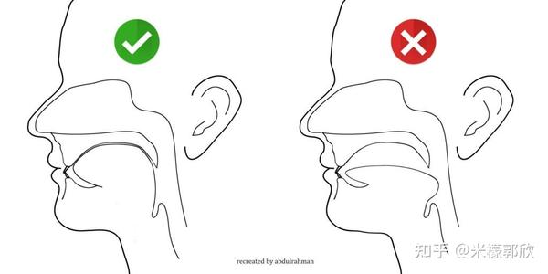 你会正确摆放舌头吗？ - 知乎