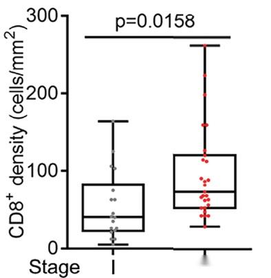 【小云解读生信图】功能超级强大的箱线图，你会看吗? - 知乎