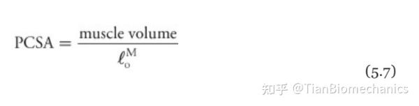 生物力学书籍-《Biomechanics of Movement》-Muscle Architecture and Dynamics - 知乎