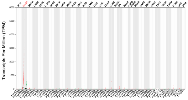 RNA 30. SCI文章中基于TCGA和GTEx数据挖掘神器（GEPIA2） - 知乎