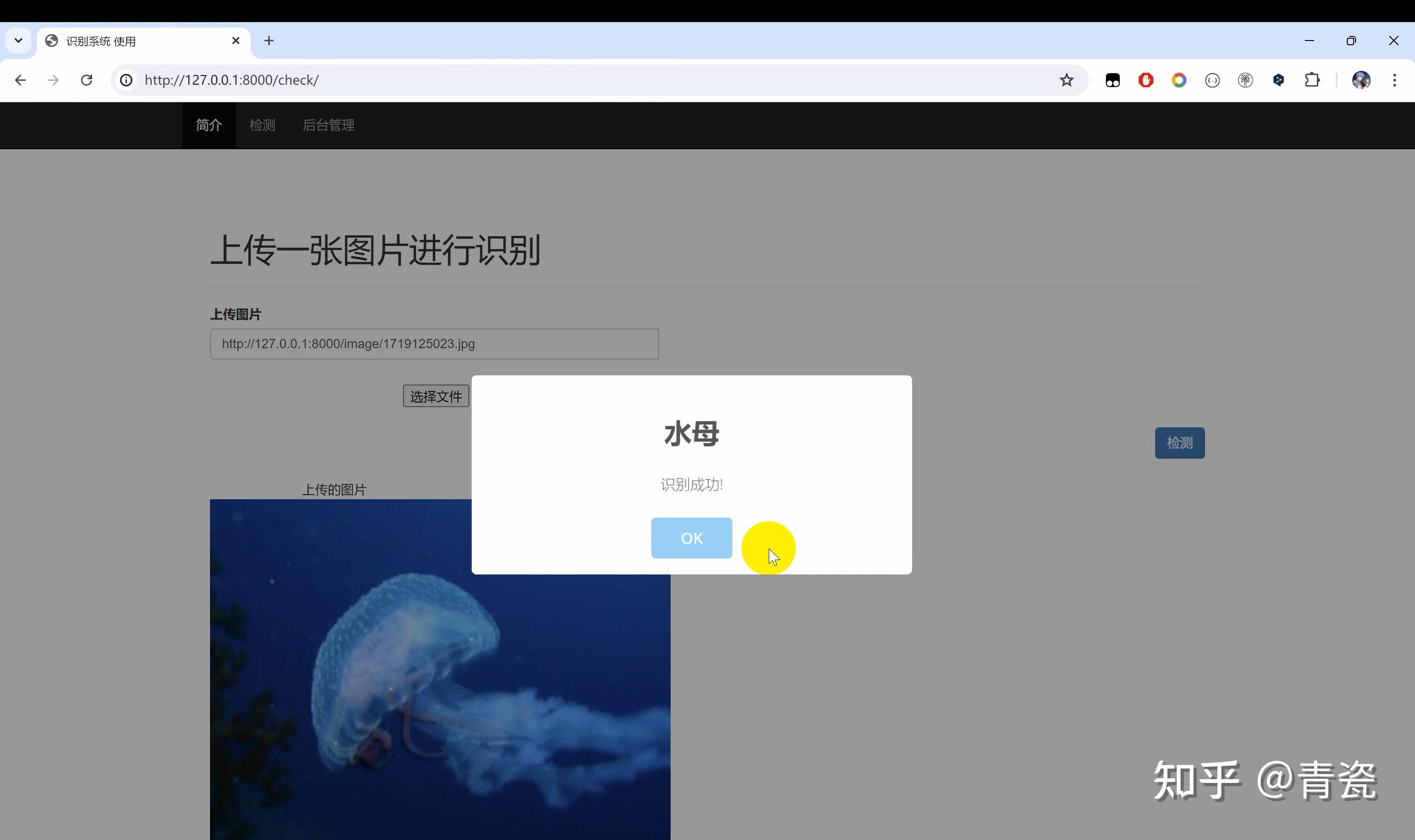 【海洋生物识别系统】python卷积神经网络算法人工智能项目深度学习项目计算机毕设项目图像识别tensorflow模型训练 知乎