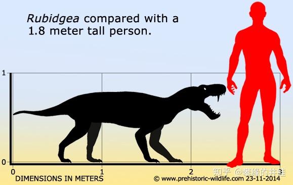 【地球演义】百兽图6：惊饕餮 - 知乎